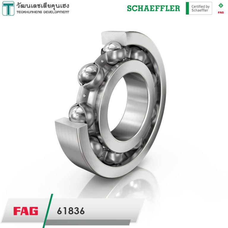 FAG 61836 ตลับลูกปืน 180-225-22 Deep Groove Ball Bearing