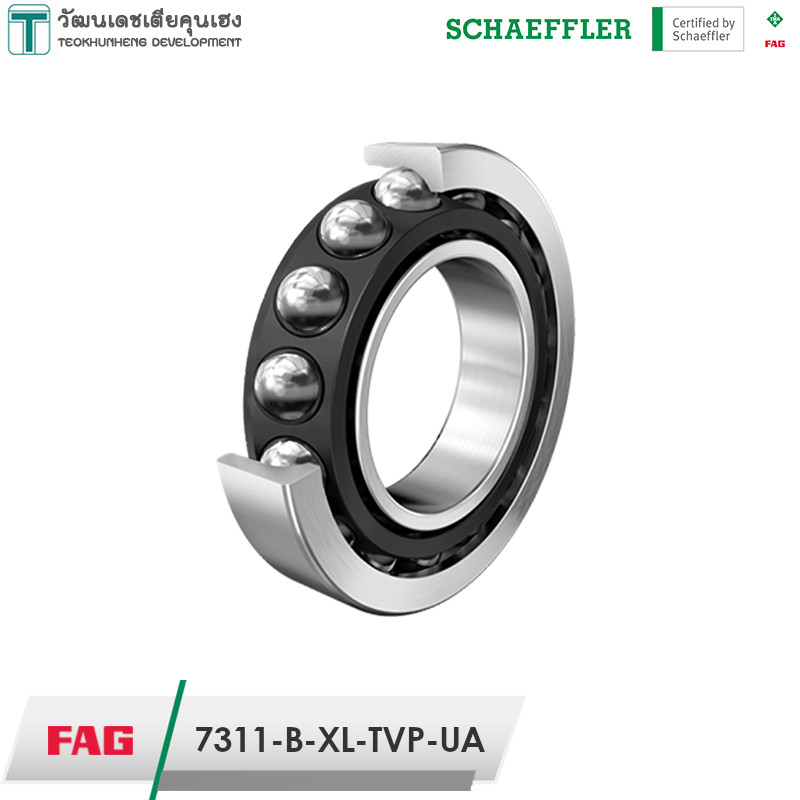FAG 7311-B-XL-TVP-UA ตลับลูกปืน 55x120x29 Bearing